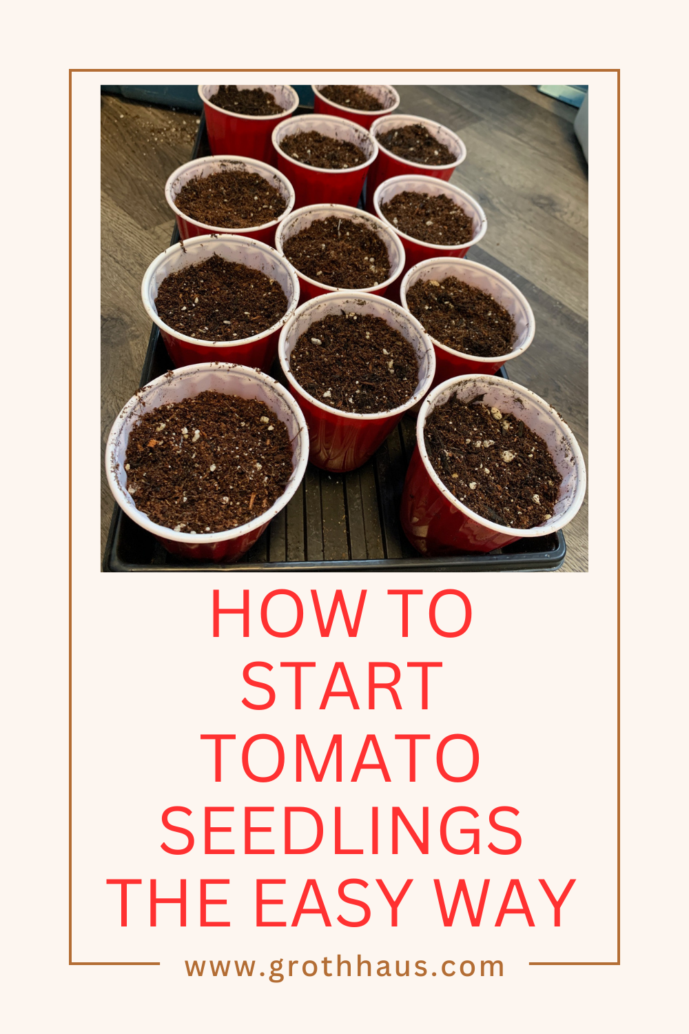 How to Start Tomato Seedlings the Easy Way - Groth Haus Homesteading
